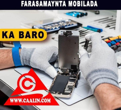 Home | Caalin Academy